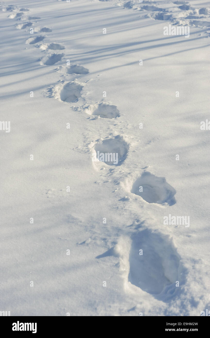 Footsteps snow hi-res stock photography and images - Alamy