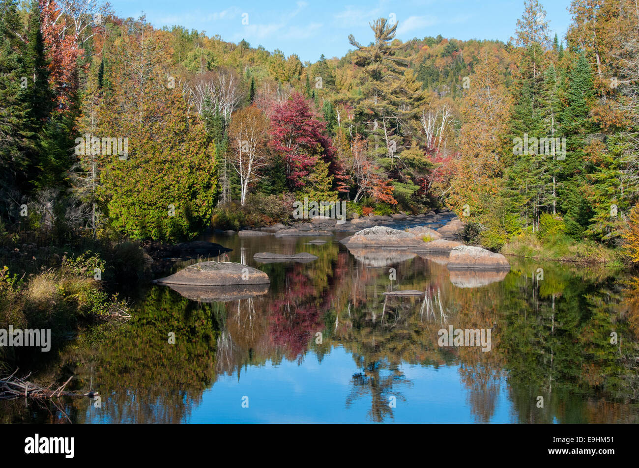 Quebec forest hi-res stock photography and images - Alamy