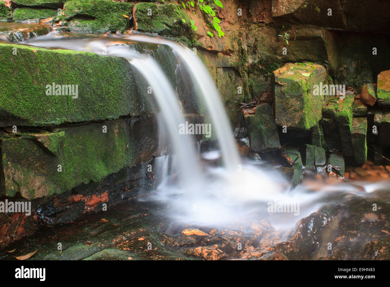 rainforest waterfall and rocks covered with moss Stock Photo - Alamy