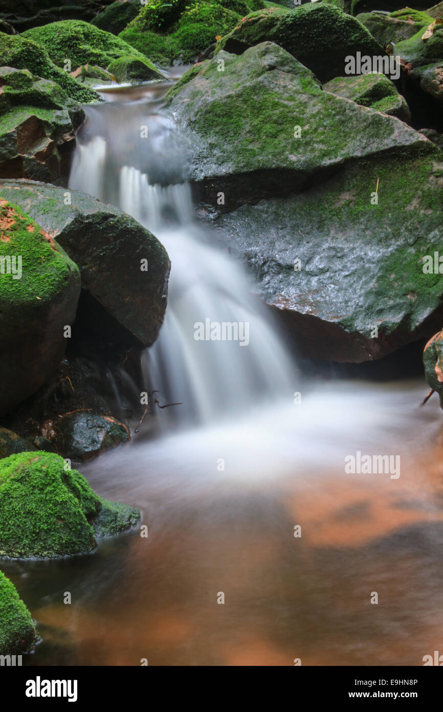 rainforest waterfall and rocks covered with moss Stock Photo - Alamy
