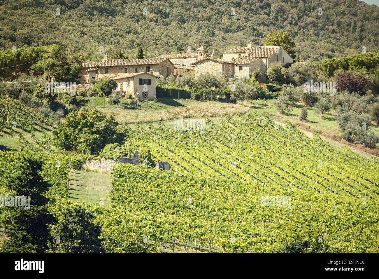 Wine Hill Italy Stock Photo - Alamy
