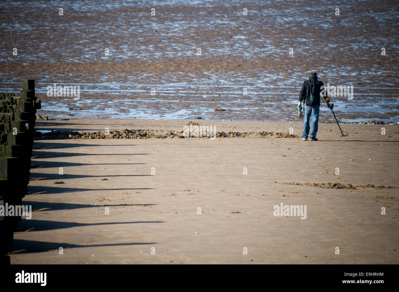 Man metal detector digging in hi-res stock photography and images - Alamy