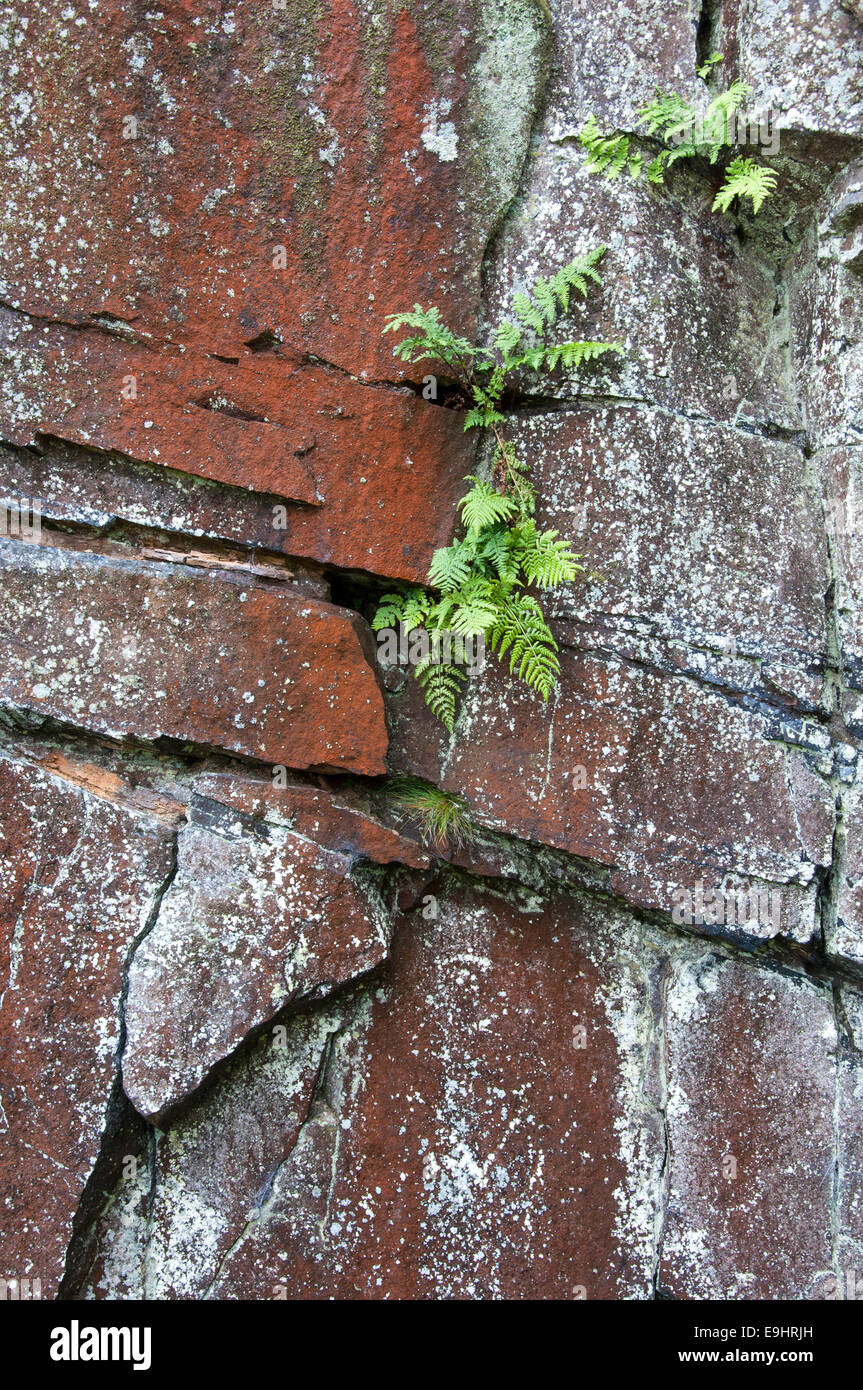 Cracken edge quarries near Chinley in Derbyshire Stock Photo - Alamy