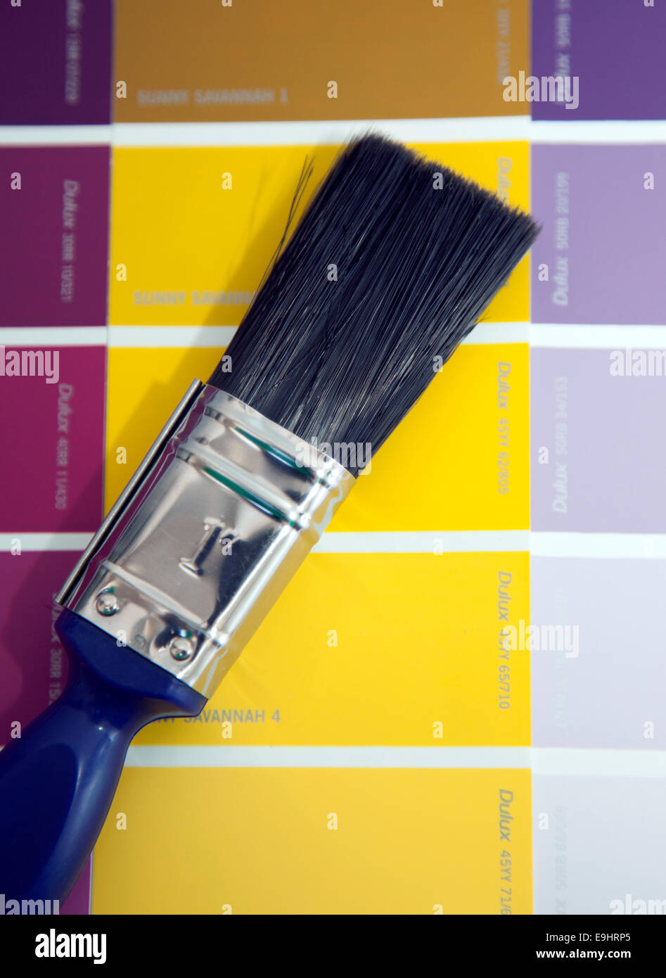 Paint colour cards and paintbrush, London Stock Photo - Alamy