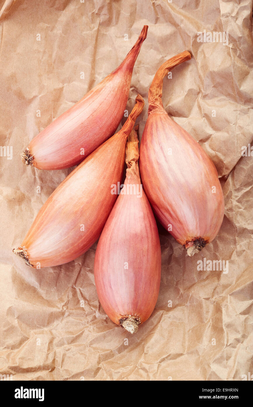 Paper and nutrition hi-res stock photography and images - Alamy