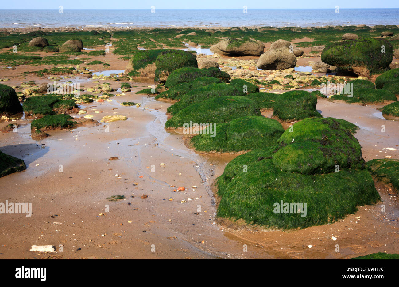 A view of the beach at low tide with carstone rocks at Hunstanton ...