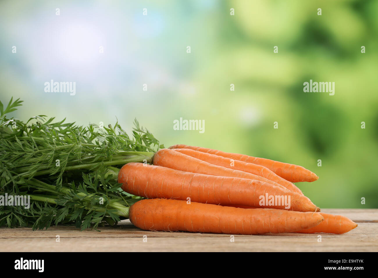 Fresh carrots vegetables in summer with copyspace Stock Photo - Alamy