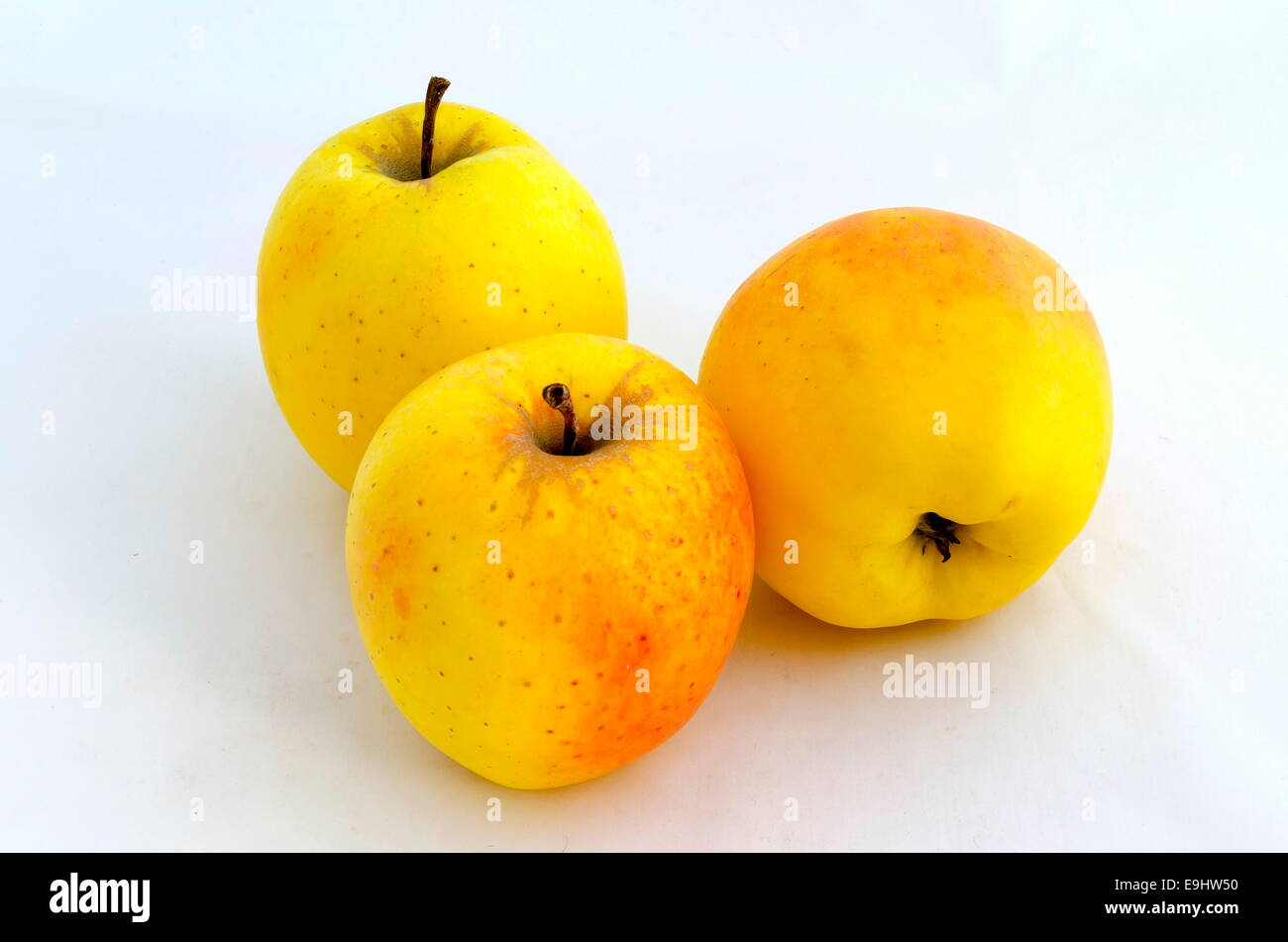 Apple fruit red-yellow Stock Photo - Alamy