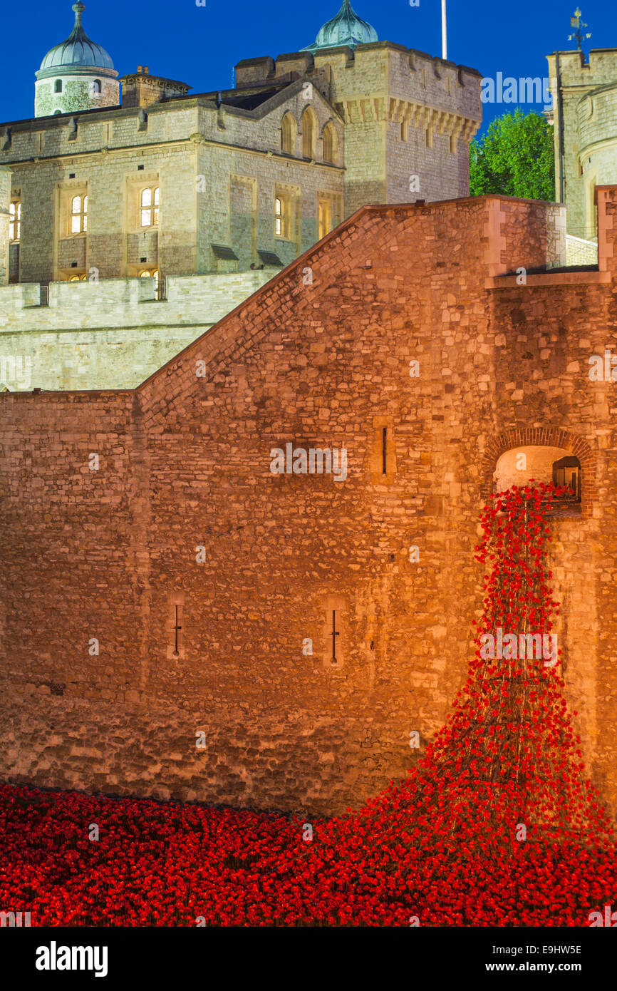 Falling poppies hi-res stock photography and images - Alamy