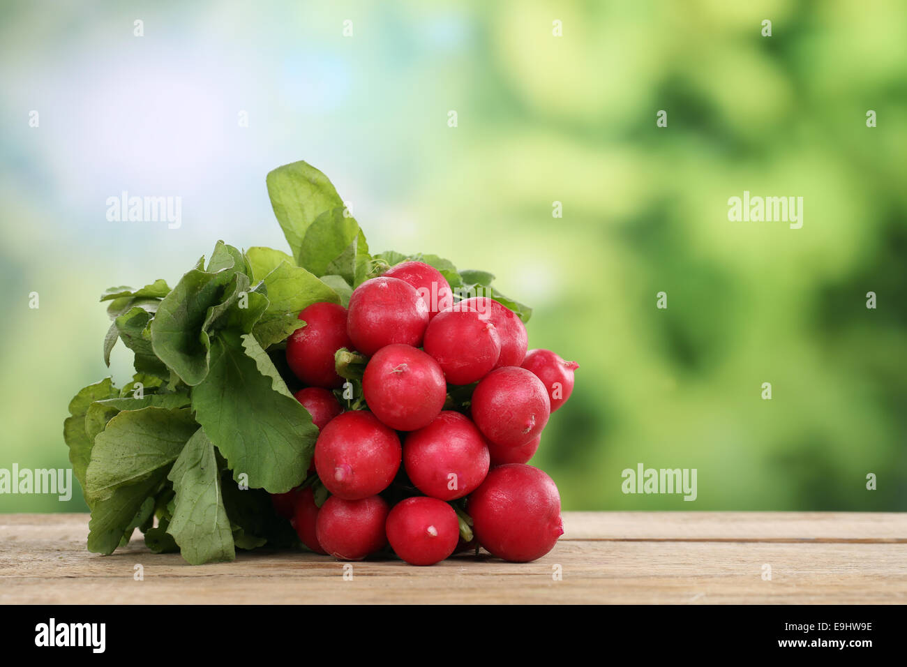 Bunch of fresh red radish vegetables in summer with copyspace Stock ...