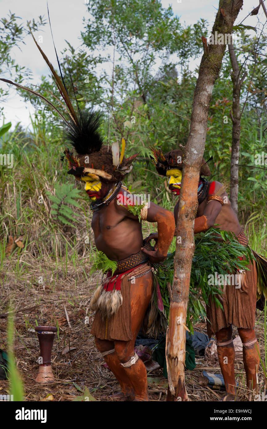 Ambua hi-res stock photography and images - Alamy