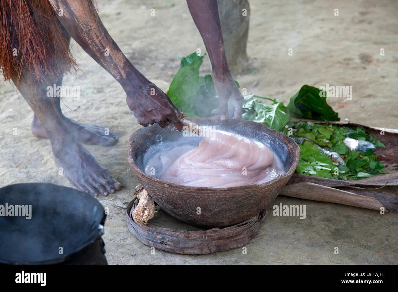 Making Sego Pudding, a Staple of the People in the Sepik Region, Papua ...