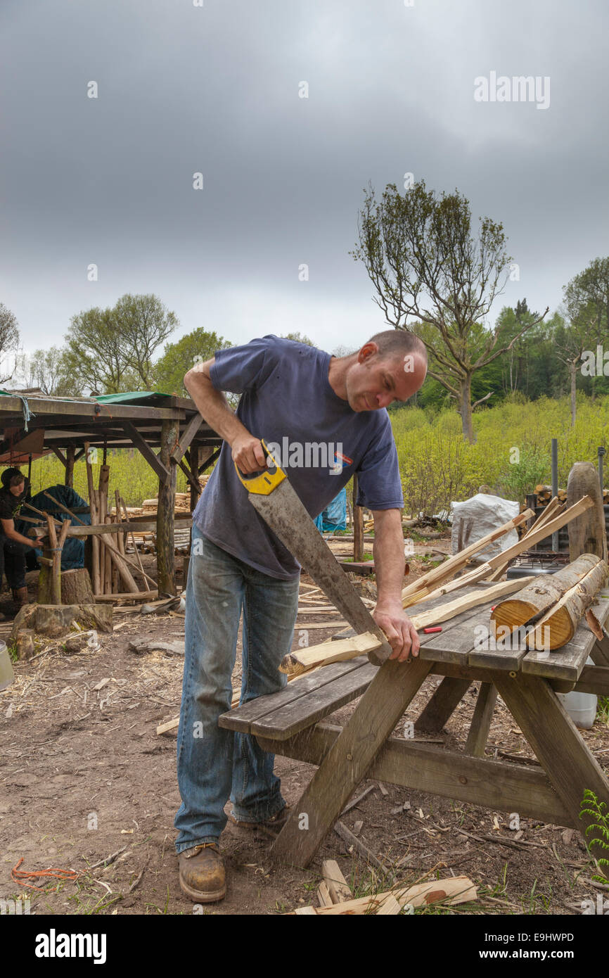 Man sawing chestnut stakes to size in a workshop in a woodland clearing ...