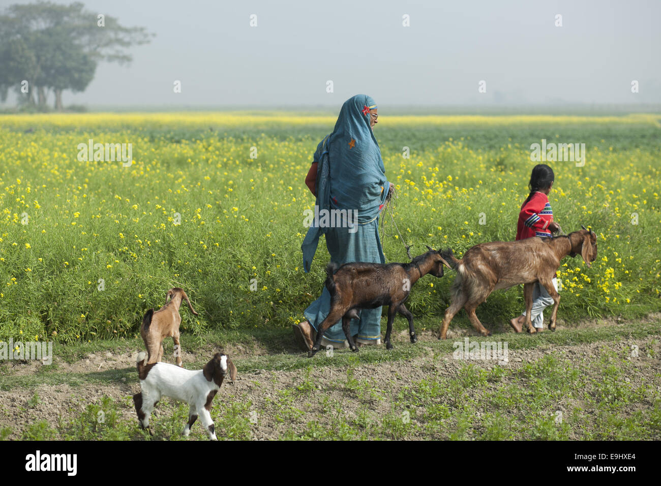 Narayangonj, Bangladesh. 25th Jan, 2013. Rural people walking with ...