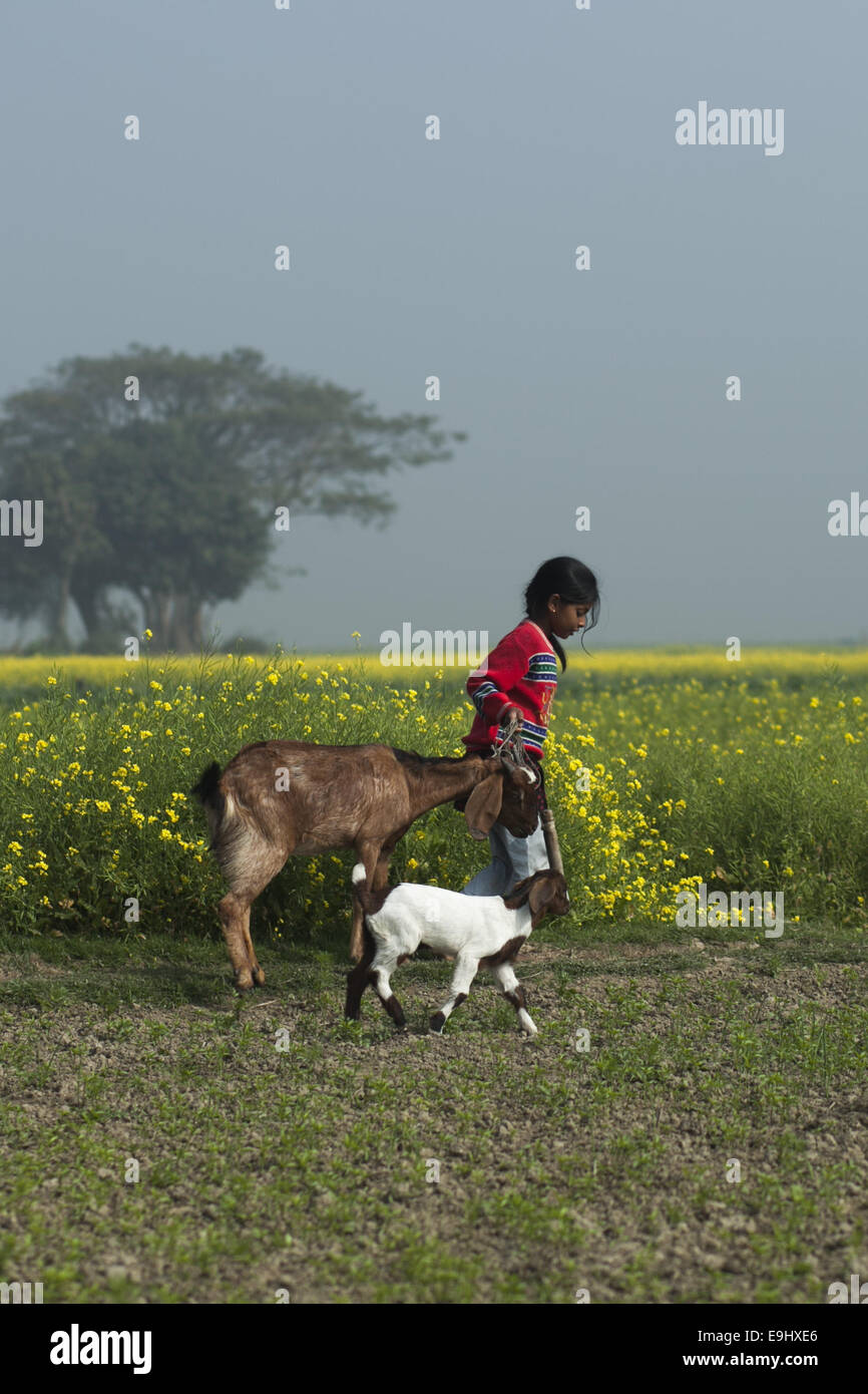 Narayangonj, Bangladesh. 25th Jan, 2013. Rural people walking with ...