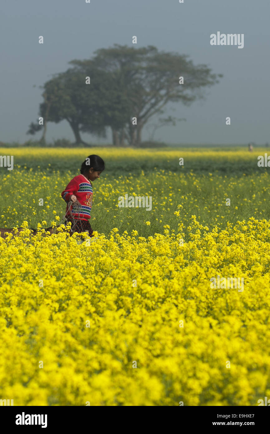 Narayangonj, Bangladesh. 25th Jan, 2013. Rural people walking with ...