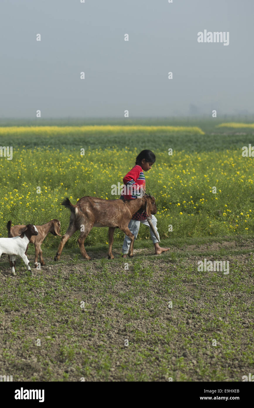 Narayangonj, Bangladesh. 25th Jan, 2013. Rural people walking with ...