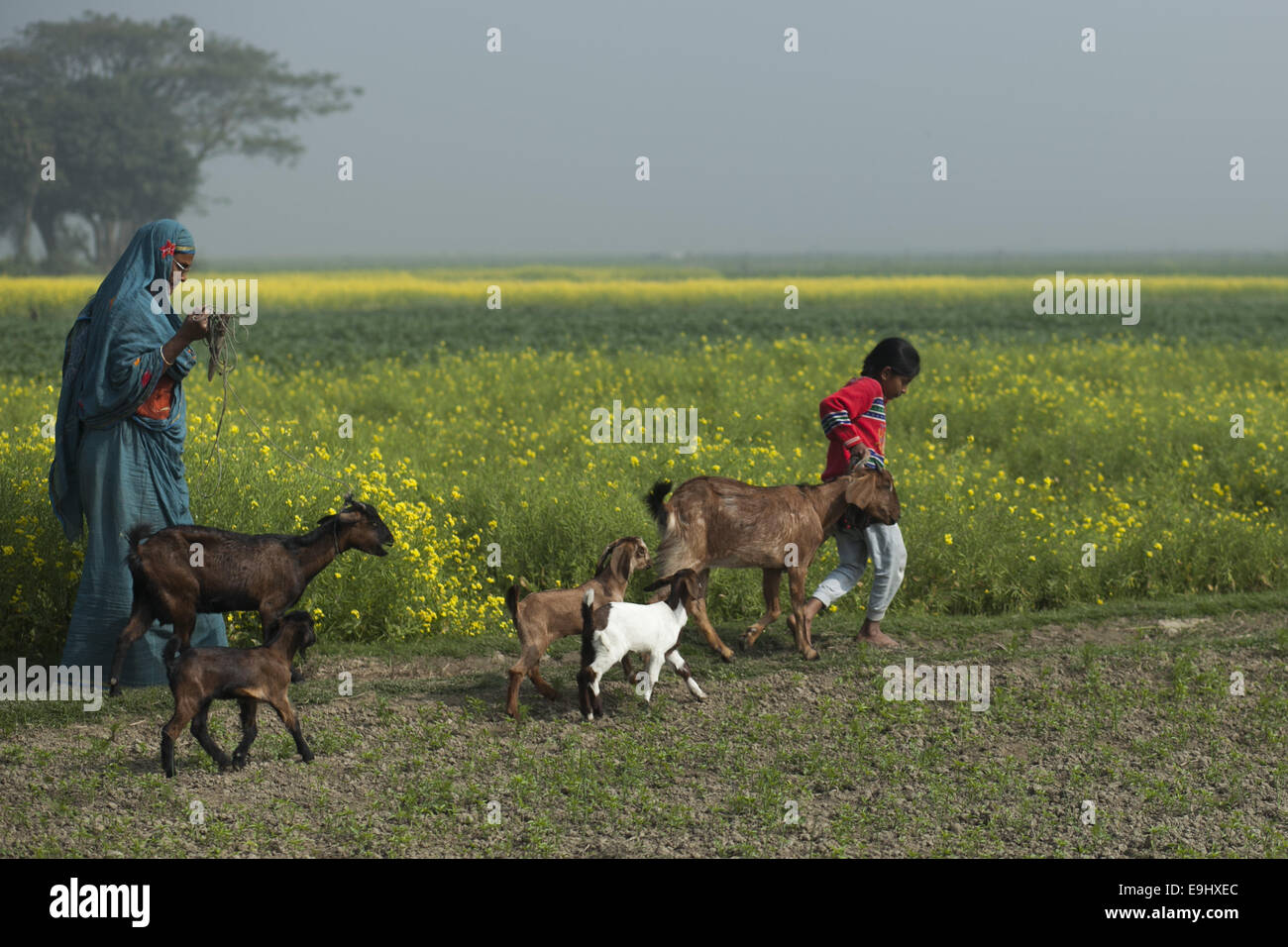 Narayangonj, Bangladesh. 25th Jan, 2013. Rural people walking with ...