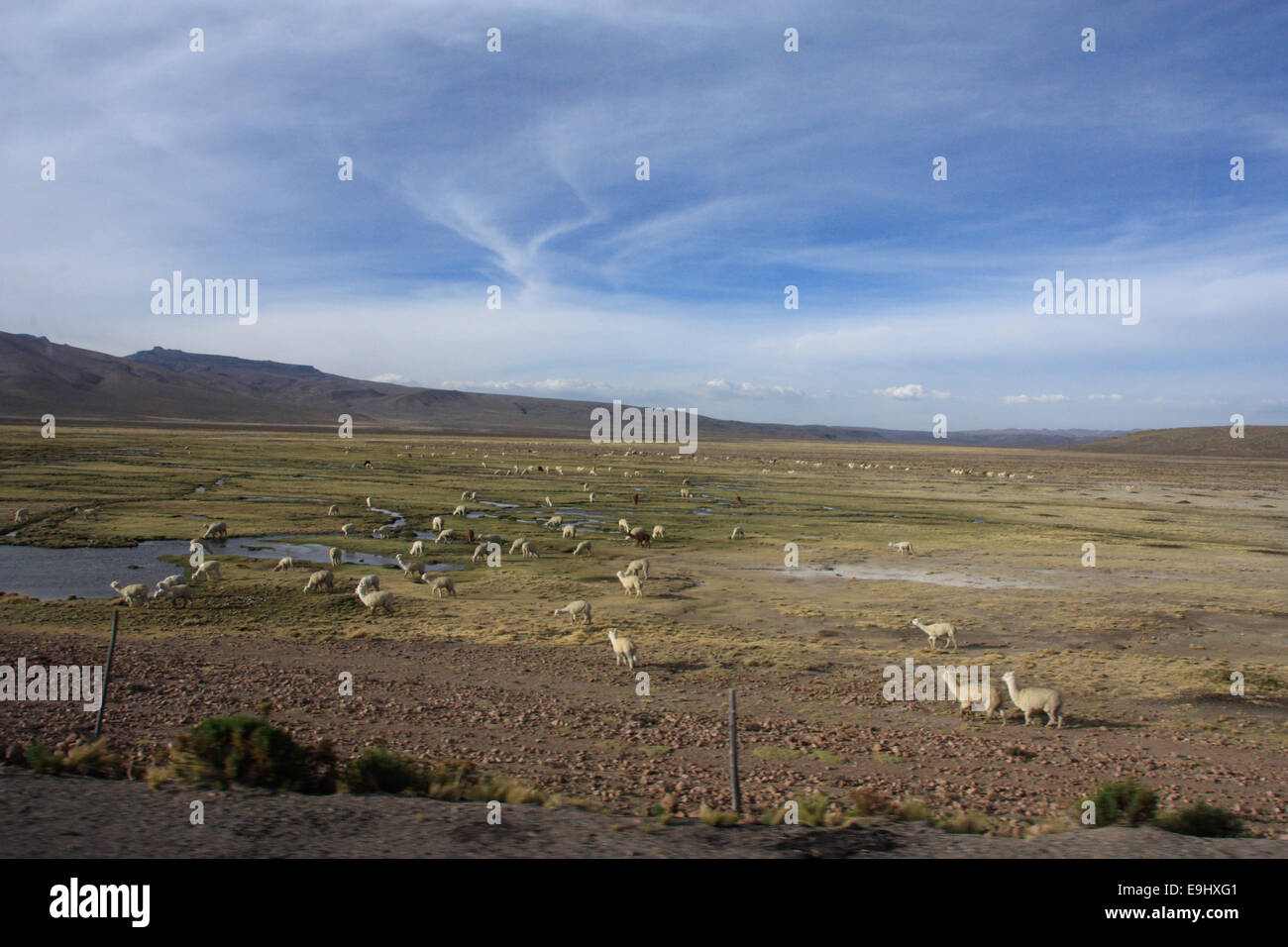 Peru road trip hi-res stock photography and images - Alamy