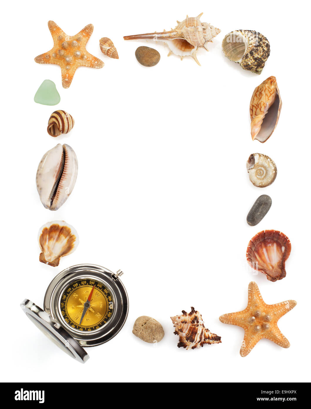 seashell and sea concept isolated on white background Stock Photo - Alamy