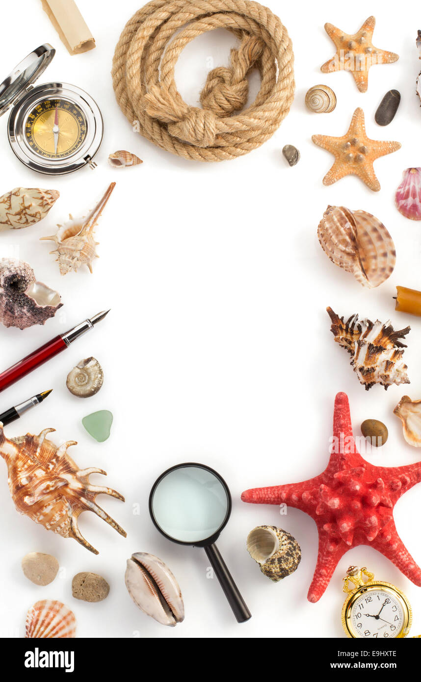 seashell and sea concept isolated on white background Stock Photo - Alamy