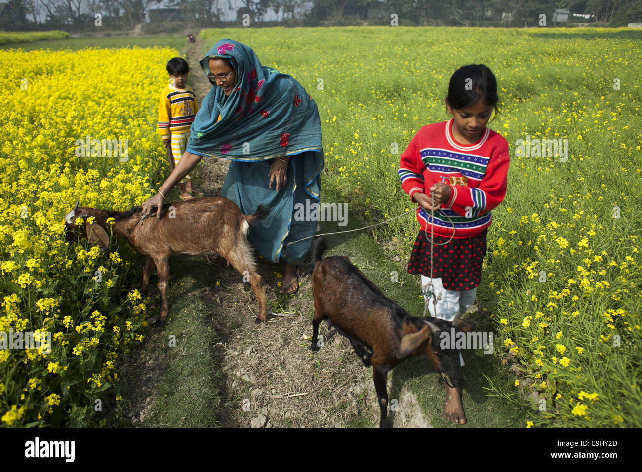 Jan. 25, 2013 - Narayangonj, Bangladesh - Rural people walking with ...