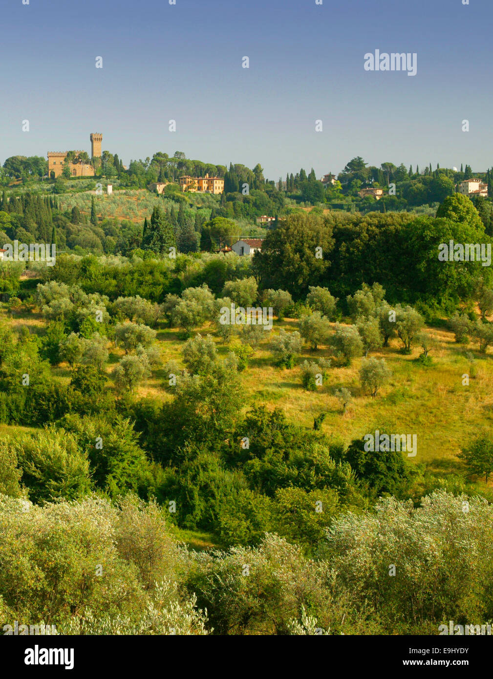 Florence is the principal city of Tuscany with a rich history& culture ...