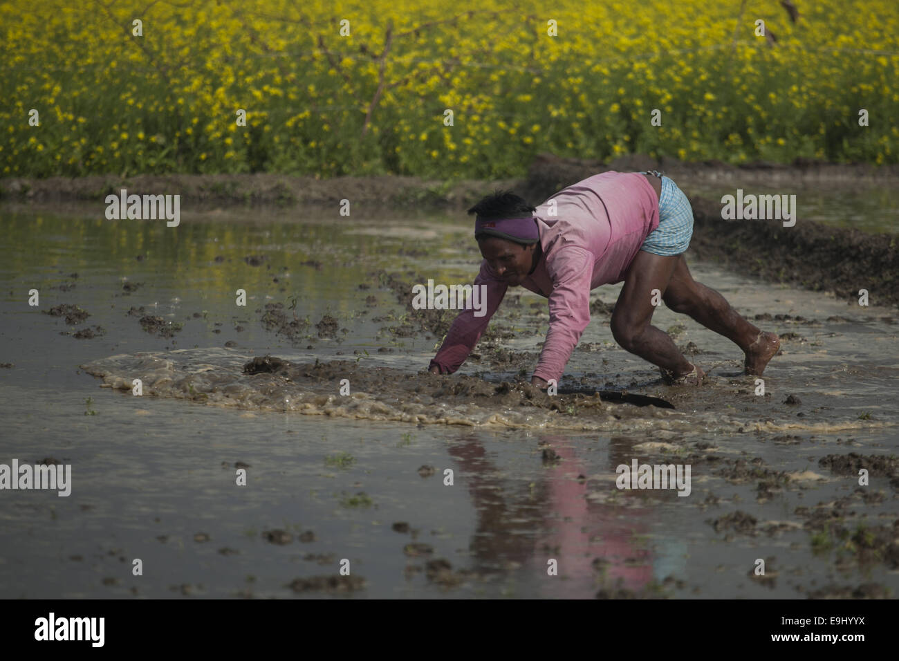 Indian farmer digging hi-res stock photography and images - Alamy