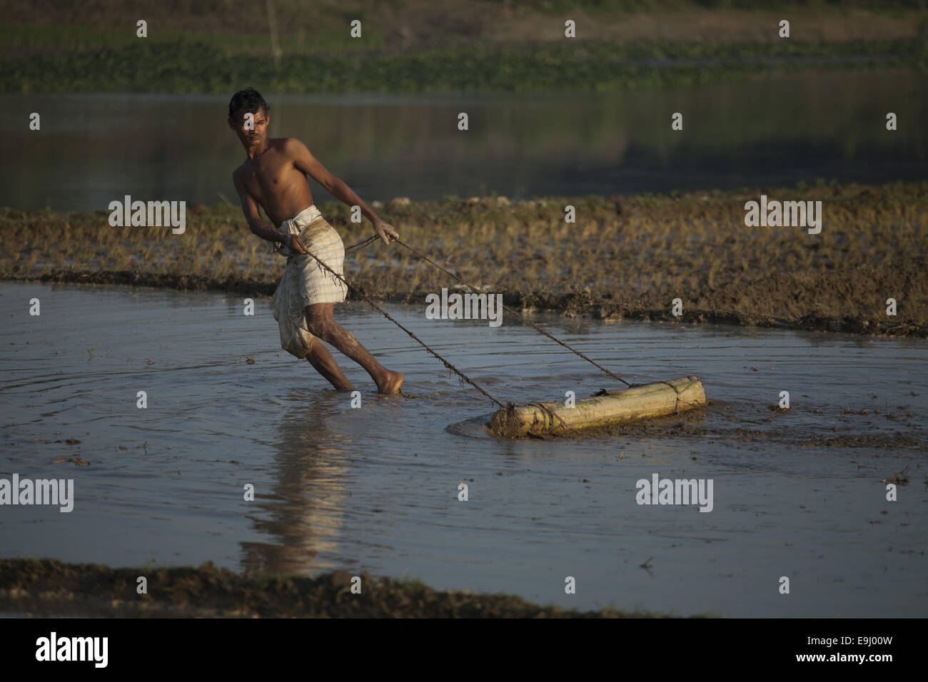Indian farmer digging hi-res stock photography and images - Alamy