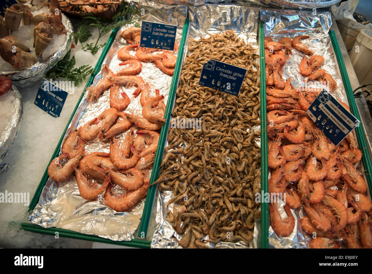 Display of fresh fish hi-res stock photography and images - Alamy