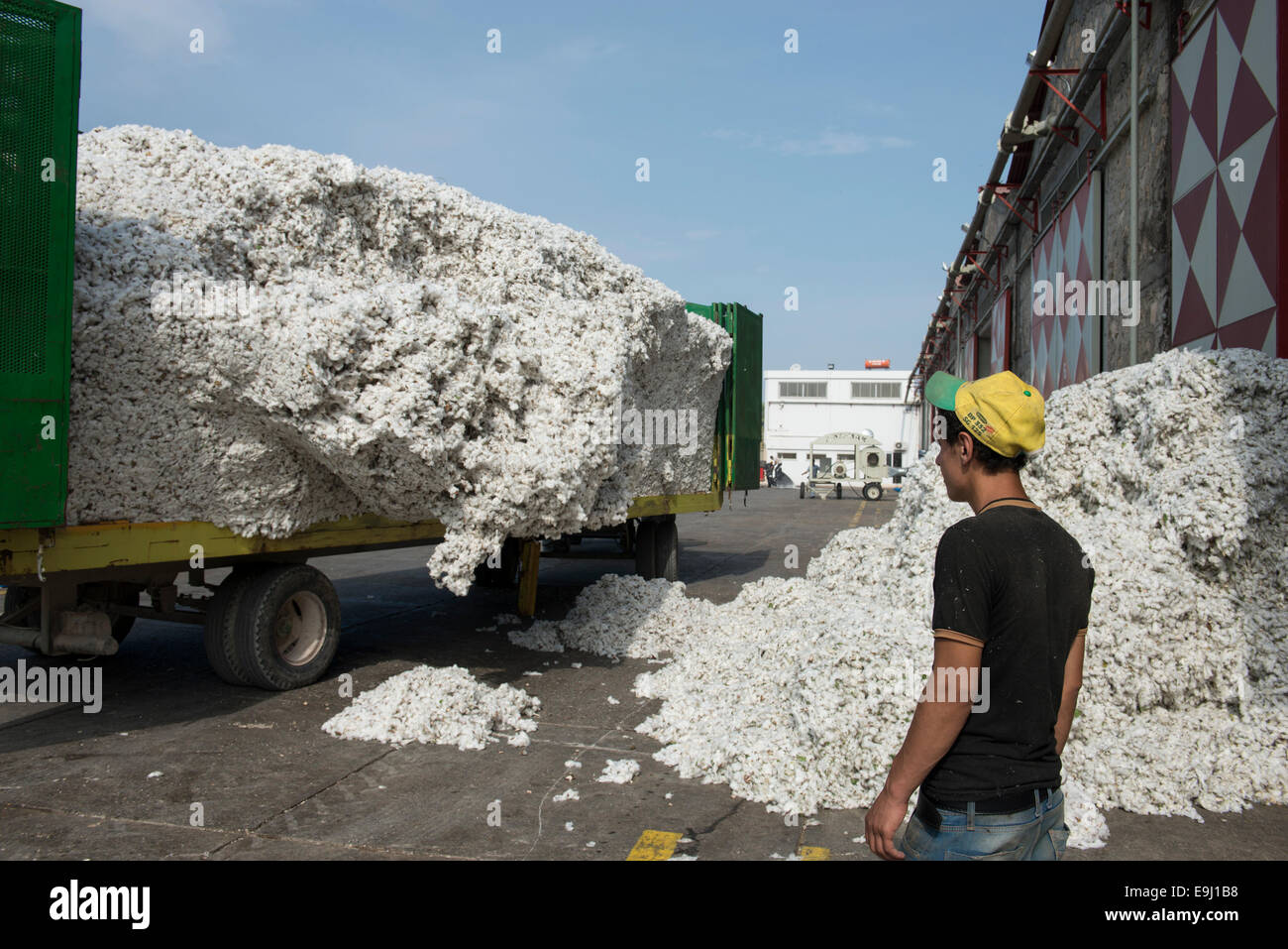 TURKEY, Adana, Pakmil ginning factory, processing of harvested ...