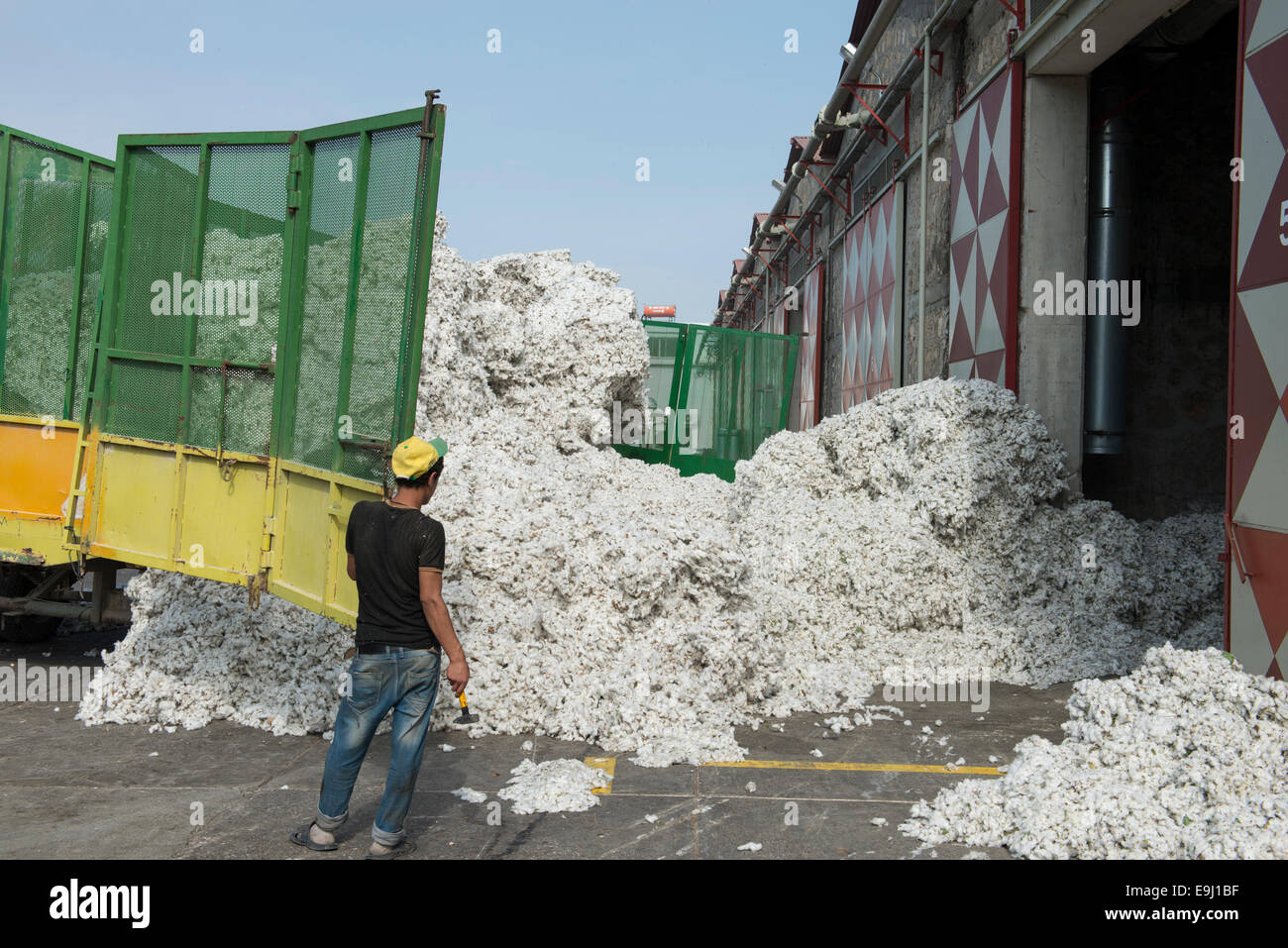TURKEY, Adana, Pakmil ginning factory, processing of harvested ...