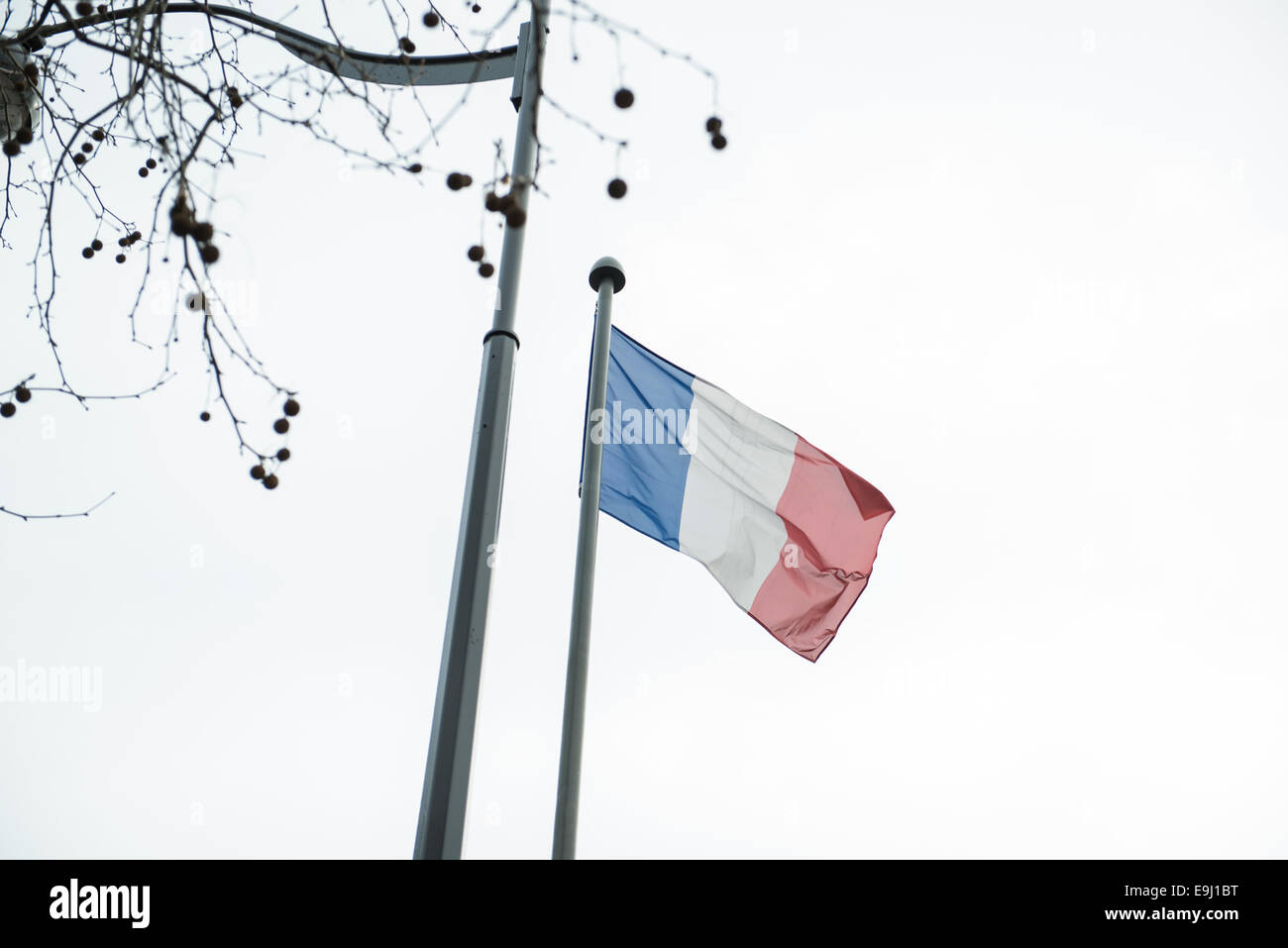 the French Tricolour flag flying on a flag pole in paris france Stock ...