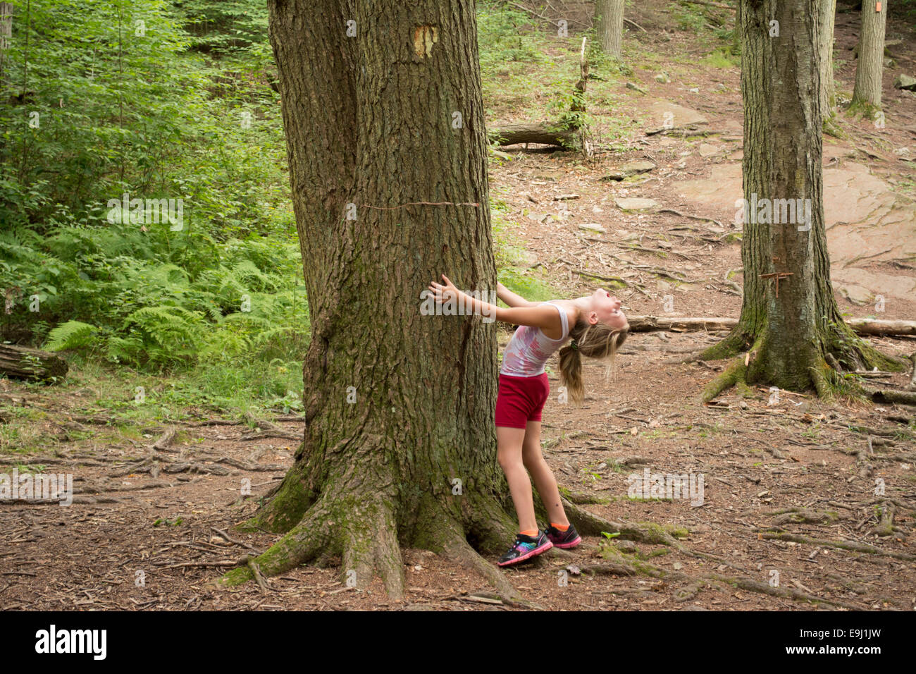 Hugging tree child hi-res stock photography and images - Alamy
