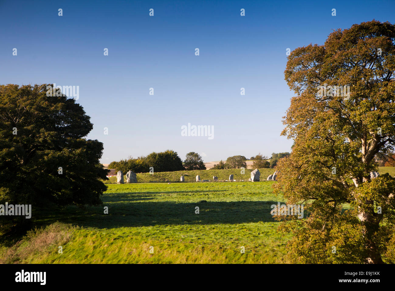 Avebury trees hi-res stock photography and images - Alamy