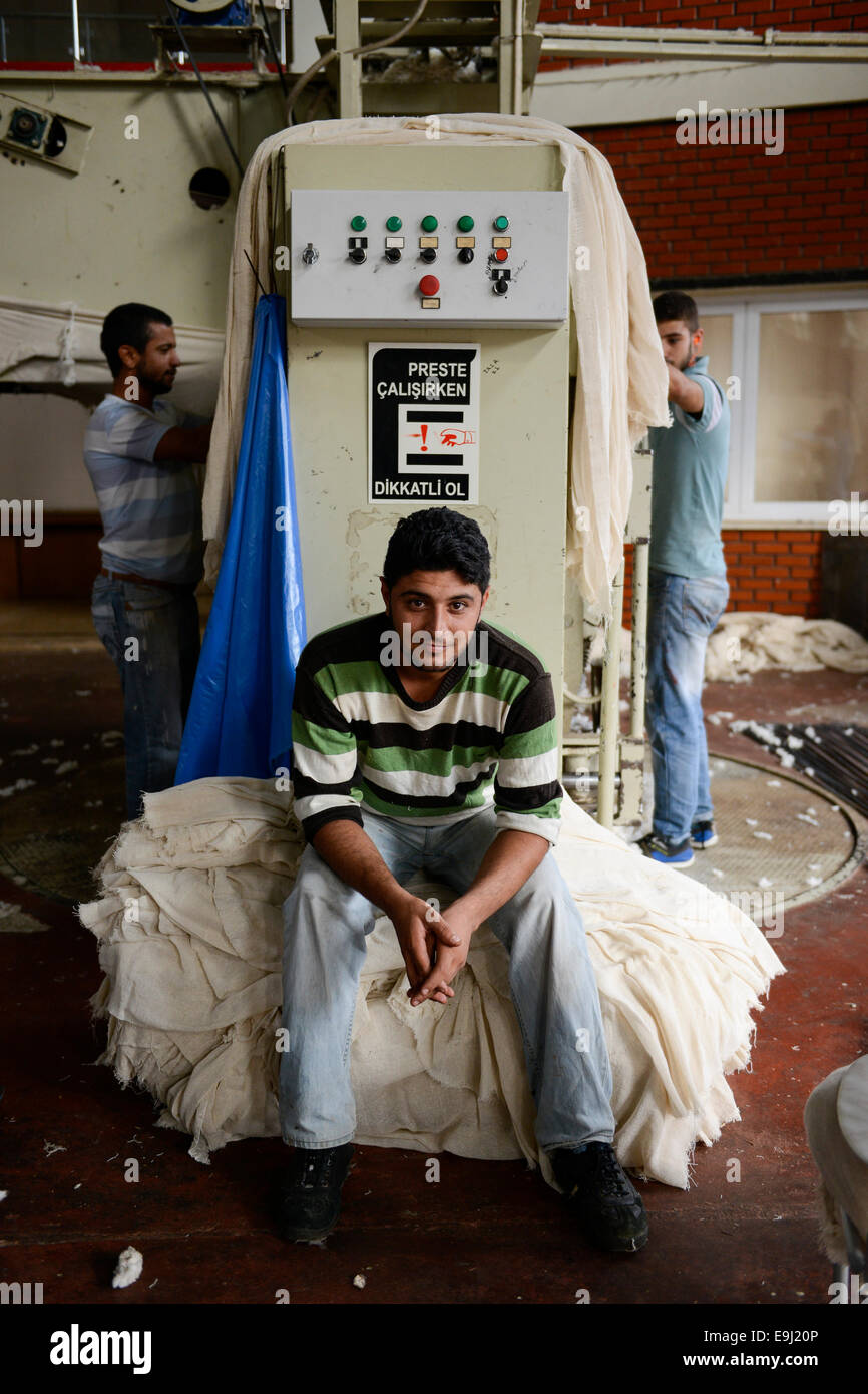 TURKEY, Adana, Pakmil ginning factory, processing of harvested ...