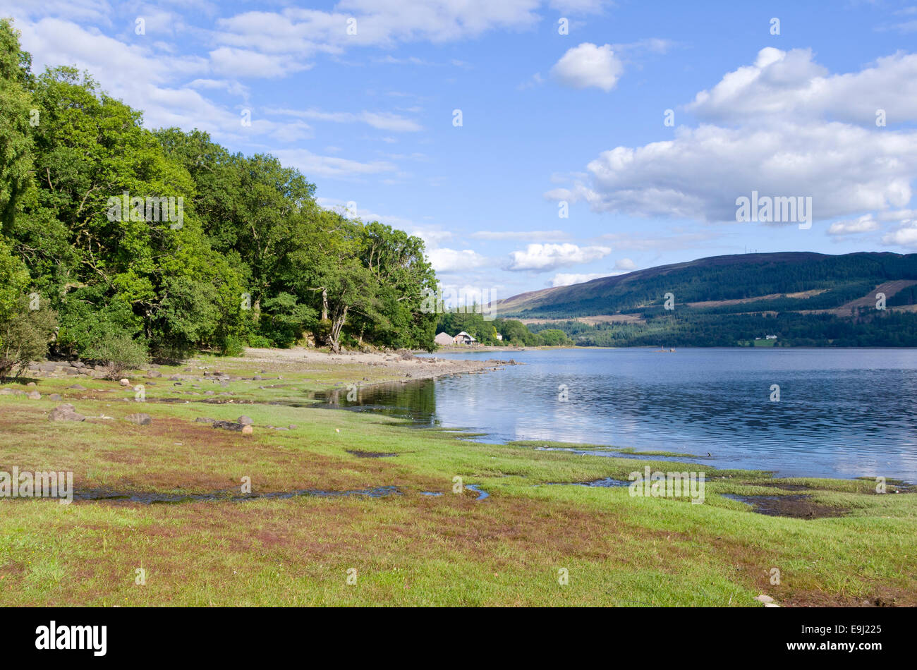 Loch Venachar, Trossachs, Stirlingshire, Scotland, UK Stock Photo - Alamy