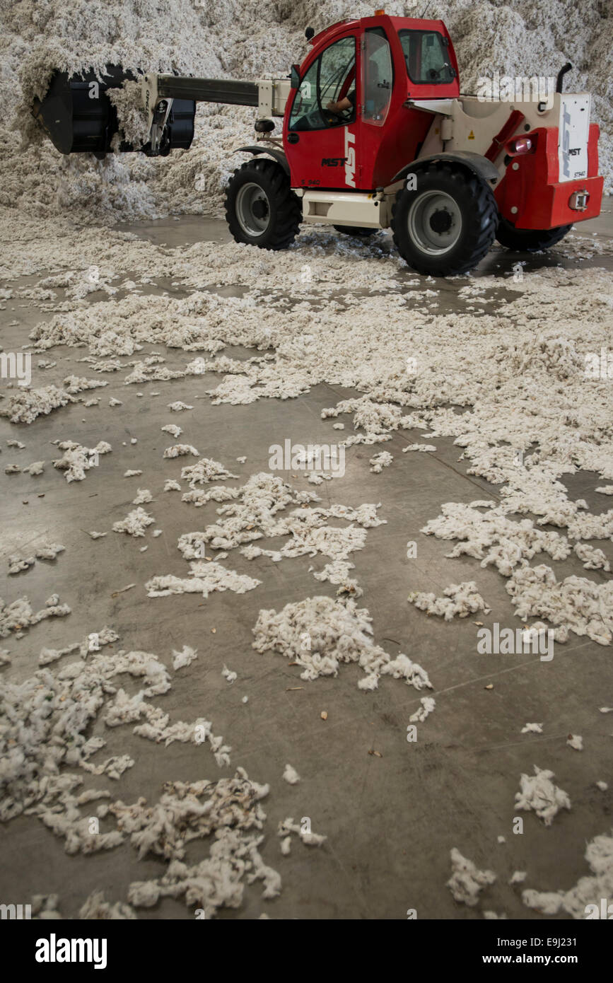 TURKEY, Menemen, ginning factory, processing of harvested conventional ...