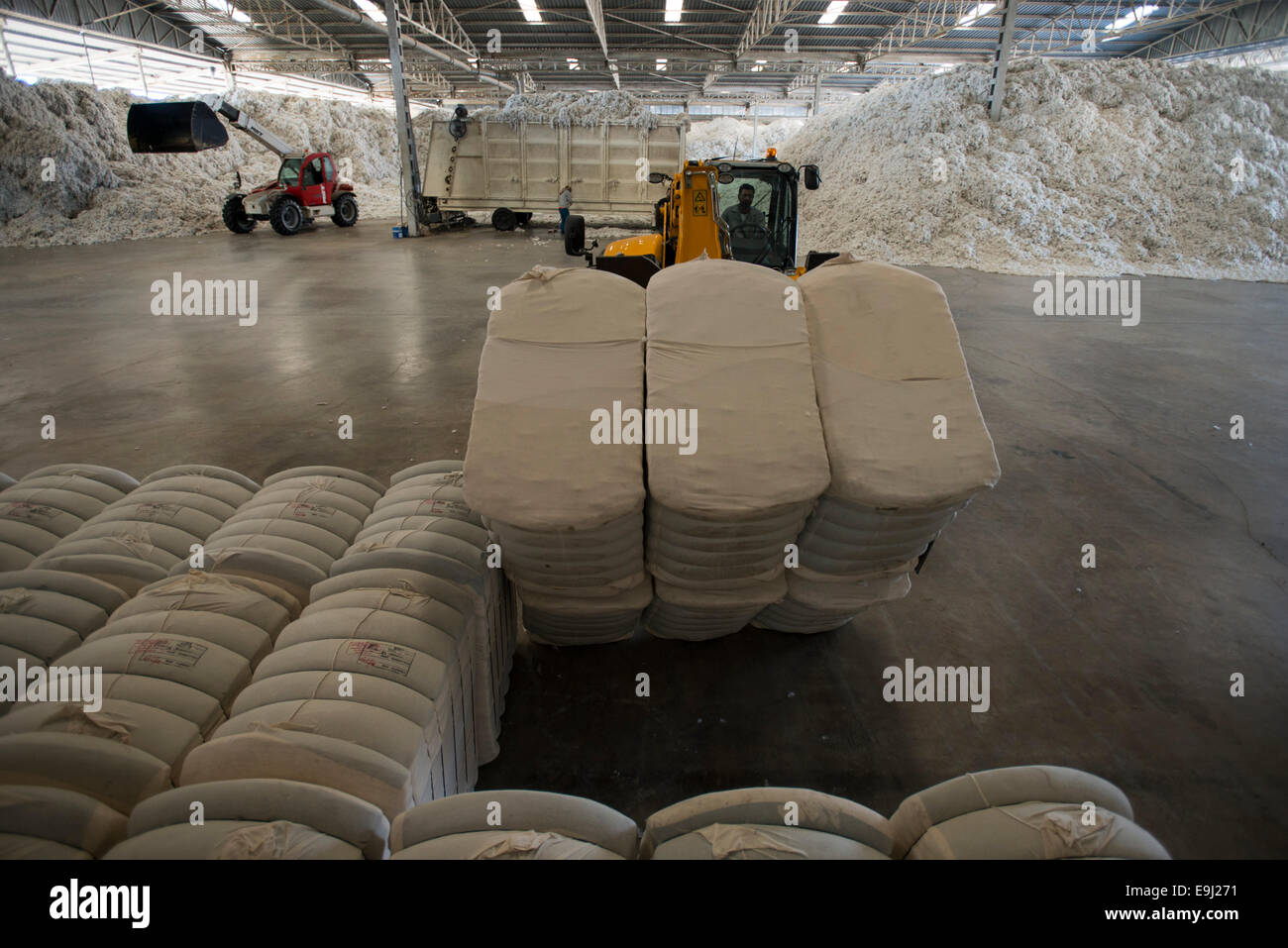 TURKEY, Menemen, ginning factory, processing of harvested conventional ...