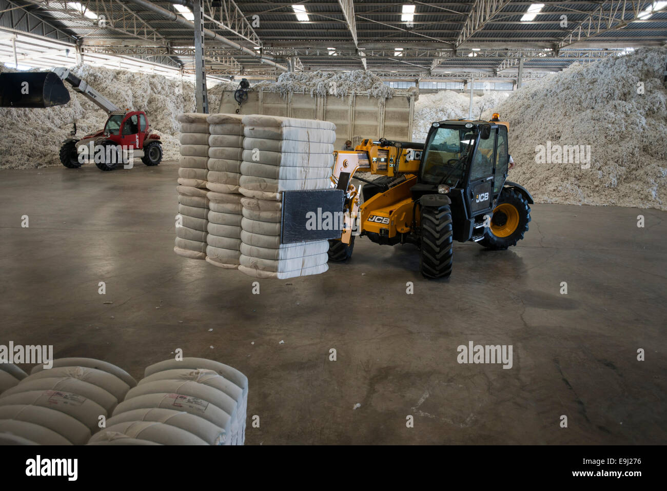 TURKEY, Menemen, ginning factory, processing of harvested conventional ...