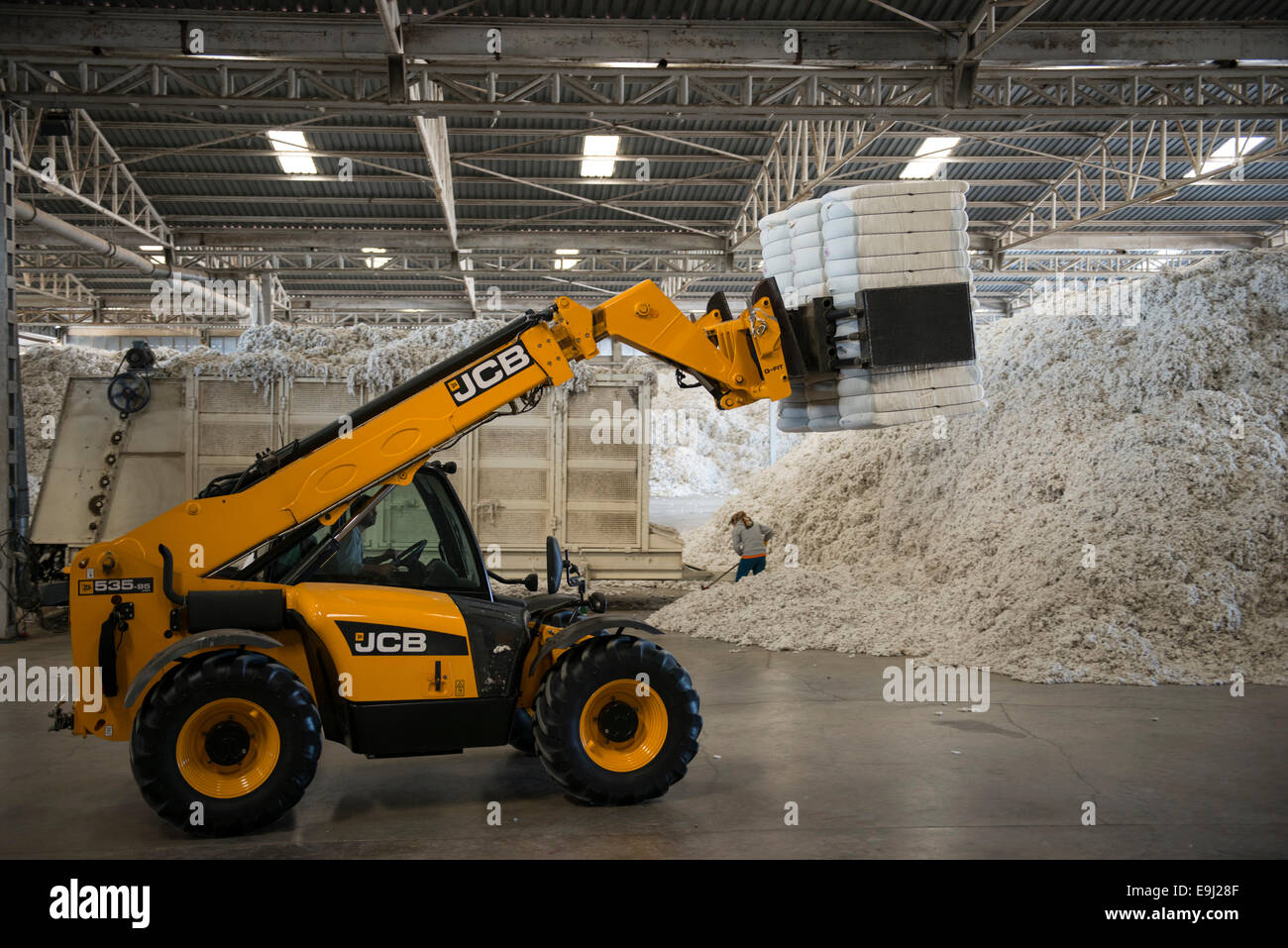 TURKEY, Menemen, ginning factory, processing of harvested conventional ...