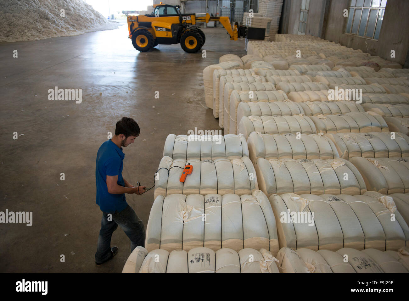 TURKEY, Menemen, ginning factory, processing of harvested conventional ...