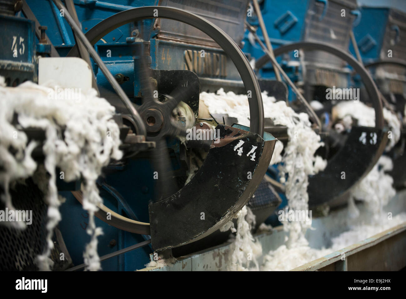 TURKEY, Menemen, ginning factory, processing of harvested conventional ...