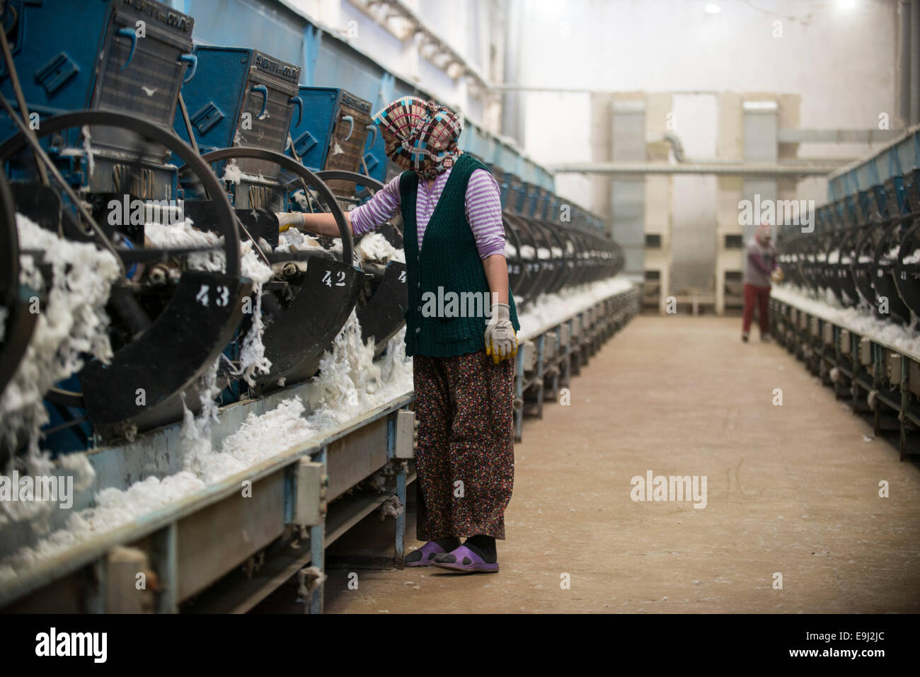 TURKEY, Menemen, ginning factory, processing of harvested conventional ...