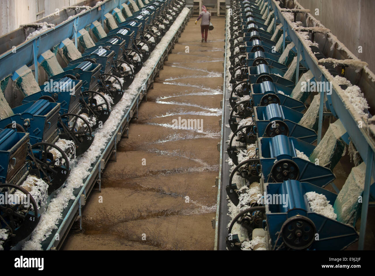 TURKEY, Menemen, ginning factory, processing of harvested conventional ...