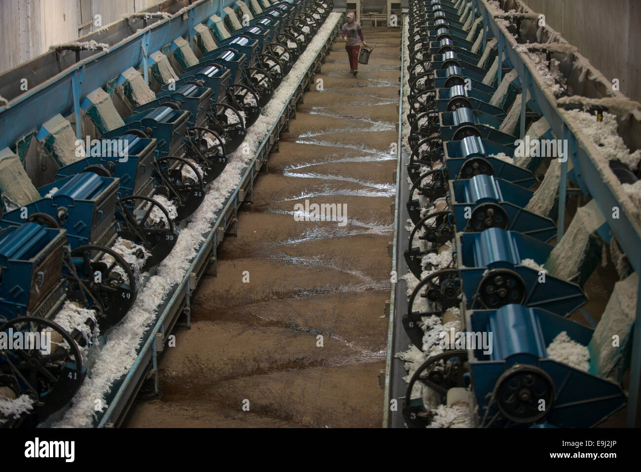 TURKEY, Menemen, ginning factory, processing of harvested conventional ...
