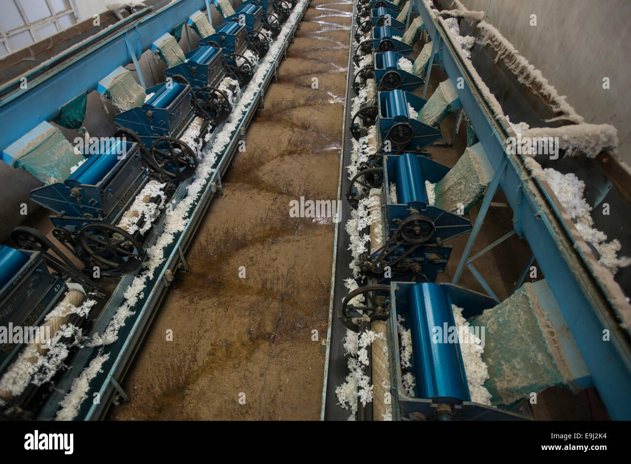 TURKEY, Menemen, ginning factory, processing of harvested conventional ...