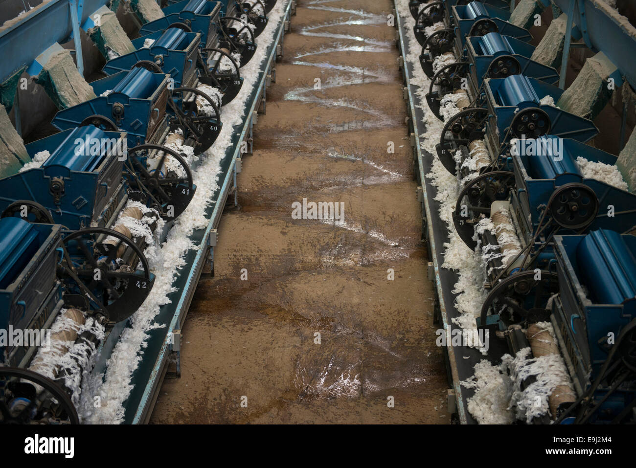 TURKEY, Menemen, ginning factory, processing of harvested conventional ...