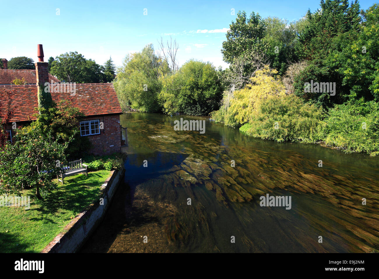 The River Nadder, flowing through Salisbury City, Wiltshire County ...
