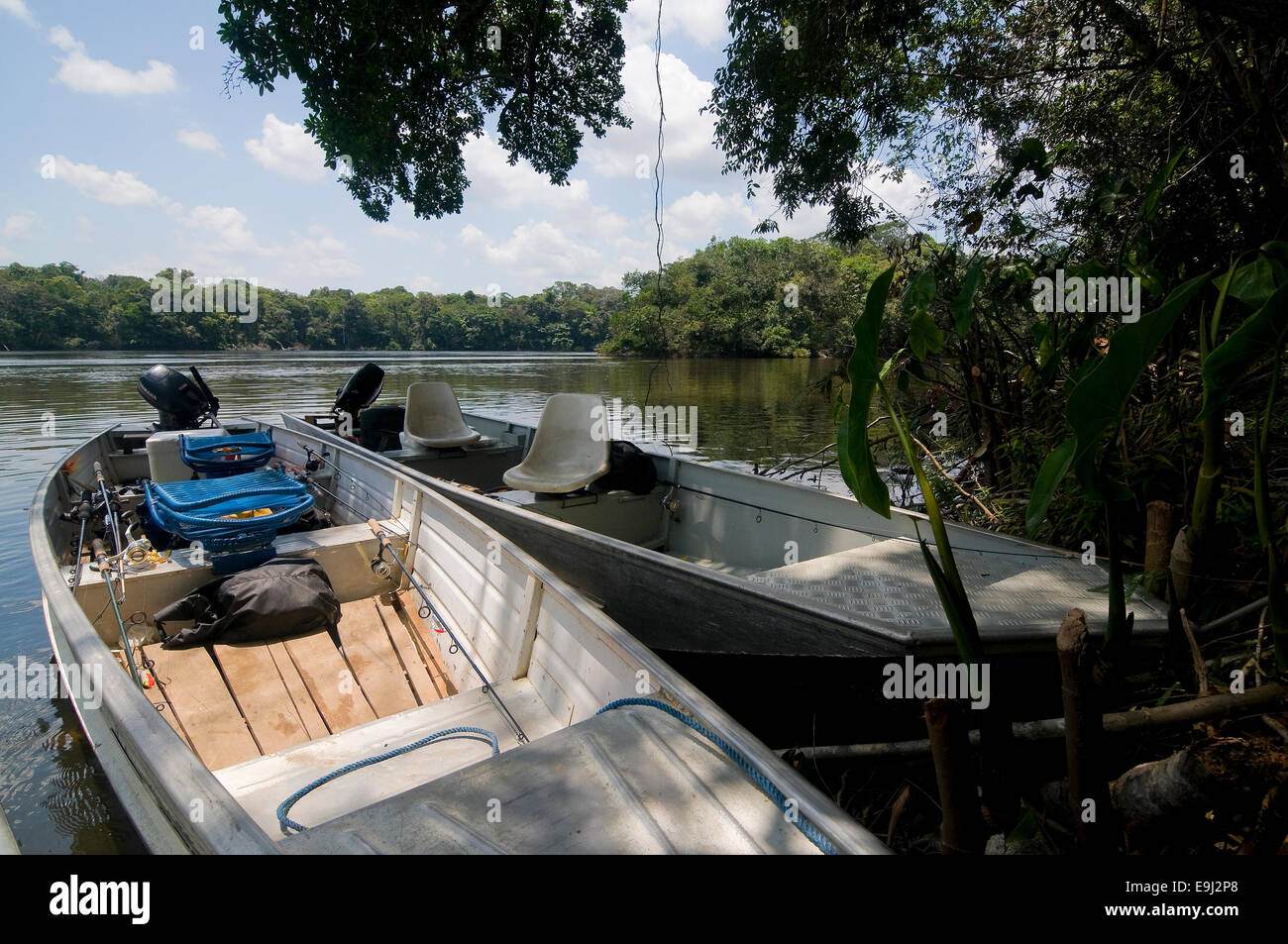 A boat is pulled up to the bank along the Amazon River so that anglers ...